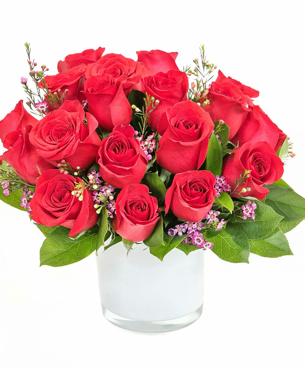 Fresh Roses Trumbull & Shelton (CT) Same-day Delivery